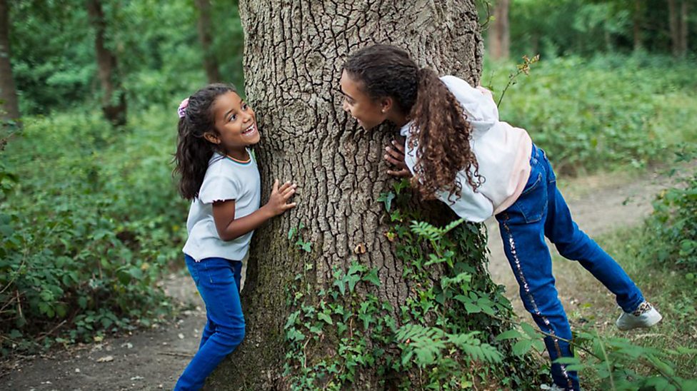 Easter Holiday Pack | Week 2 | Age 7-11 - BBC Bitesize