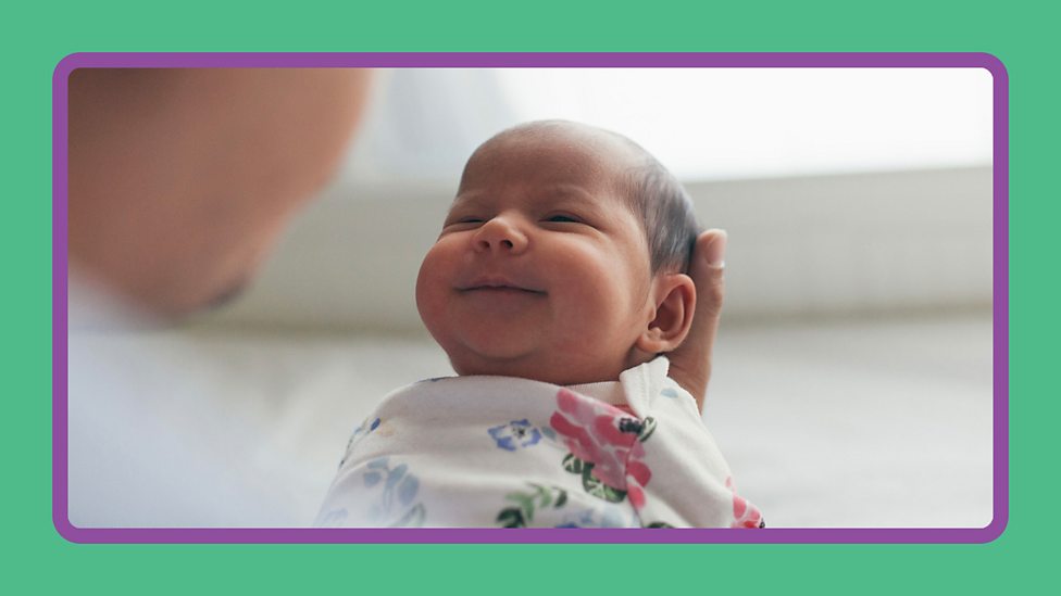 How do animals grow? - KS1 Science curriculum - BBC Bitesize