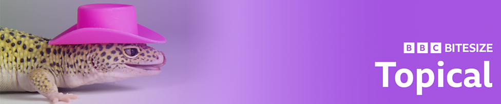 Meet the animals that live in the most extreme environments - BBC Bitesize