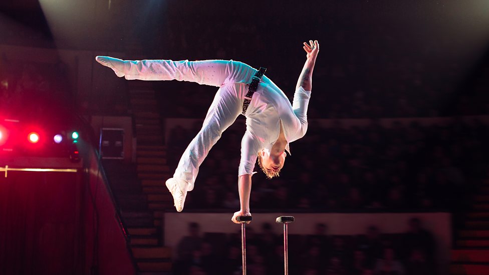 Sensory stories: Let's go out to the circus - BBC Bitesize