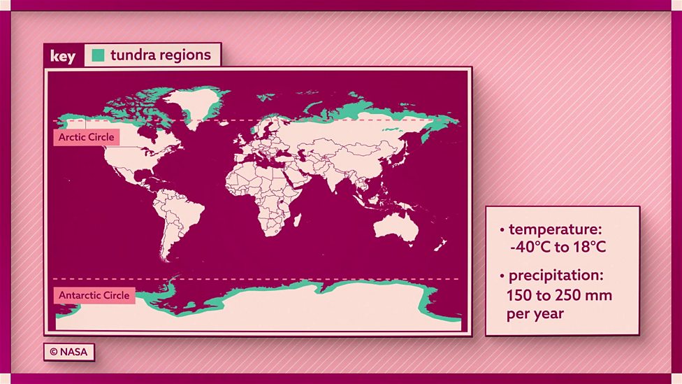 Global issues - National 5 Geography - BBC Bitesize