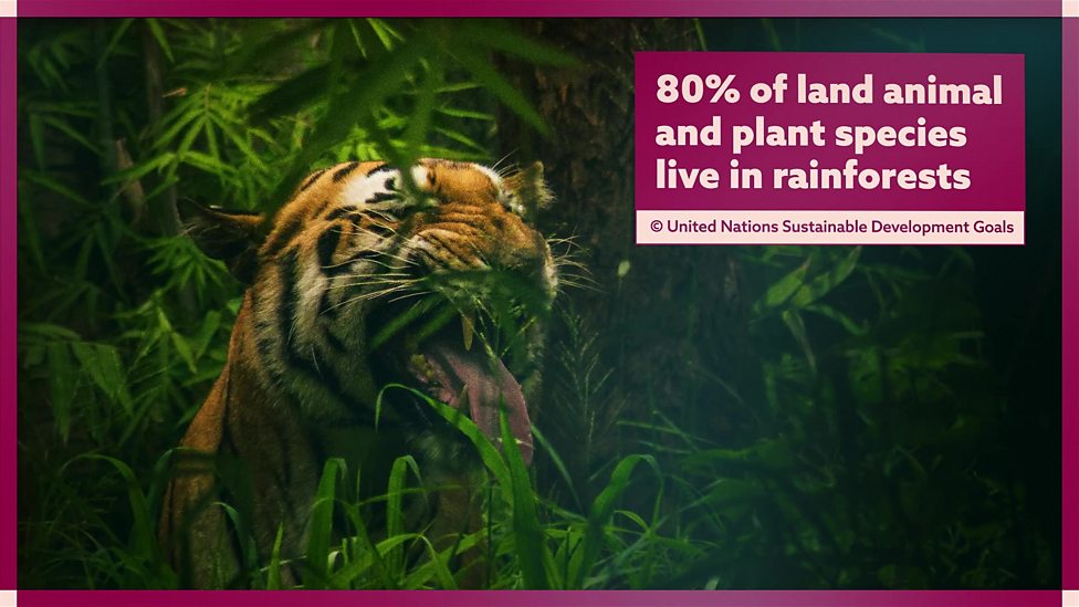 Global issues - National 5 Geography - BBC Bitesize