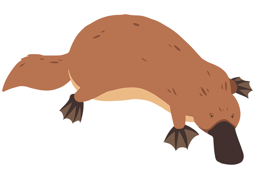 What are mammals? KS1 Science curriculum - BBC Bitesize