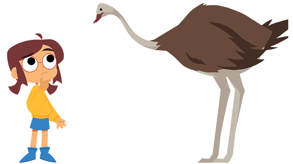What are birds? KS1 Science curriculum - BBC Bitesize