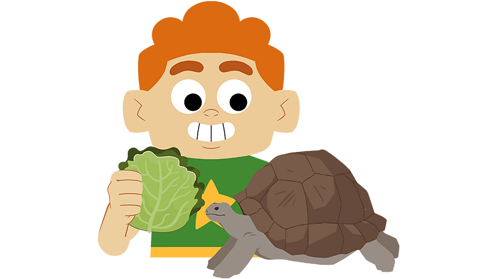 What are reptiles? KS1 Science curriculum - BBC Bitesize