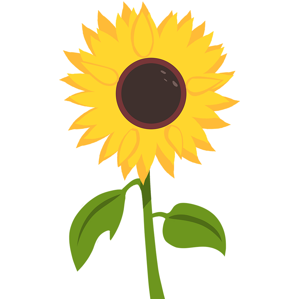 Wild and garden plants – KS1 Science curriculum - BBC Bitesize