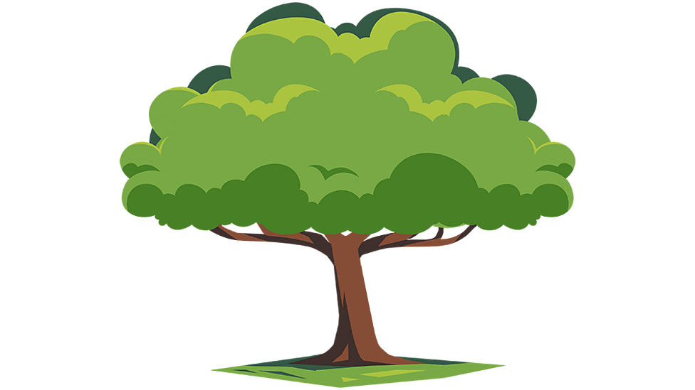 The structure of flowering plants - KS2 Science curriculum - BBC Bitesize