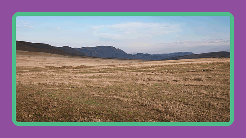 What is a desert habitat? – KS1 Science curriculum - BBC Bitesize