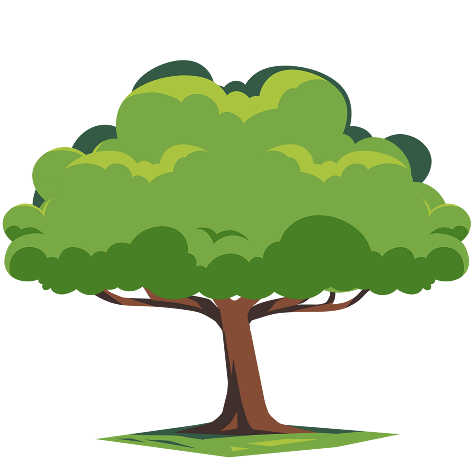 The parts of a plant – KS1 Science curriculum - BBC Bitesize