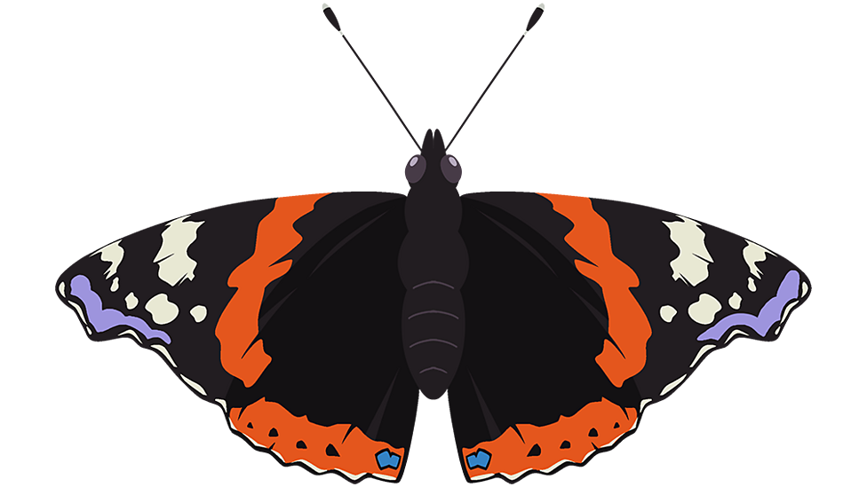 How do animals grow? - KS1 Science curriculum - BBC Bitesize