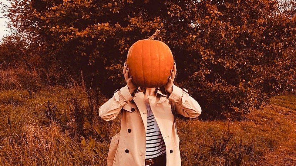 Code Orange: How to prepare your space for autumn - BBC Bitesize