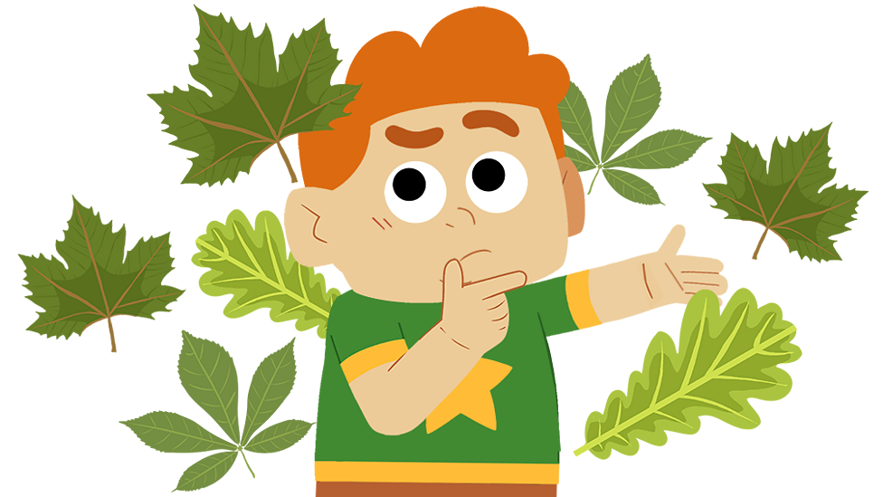 How can I sort objects into dead, living and non-living? - KS1 Science ...