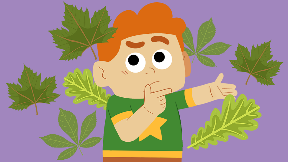 Living things and their habitats - Year 2 Science - BBC Bitesize