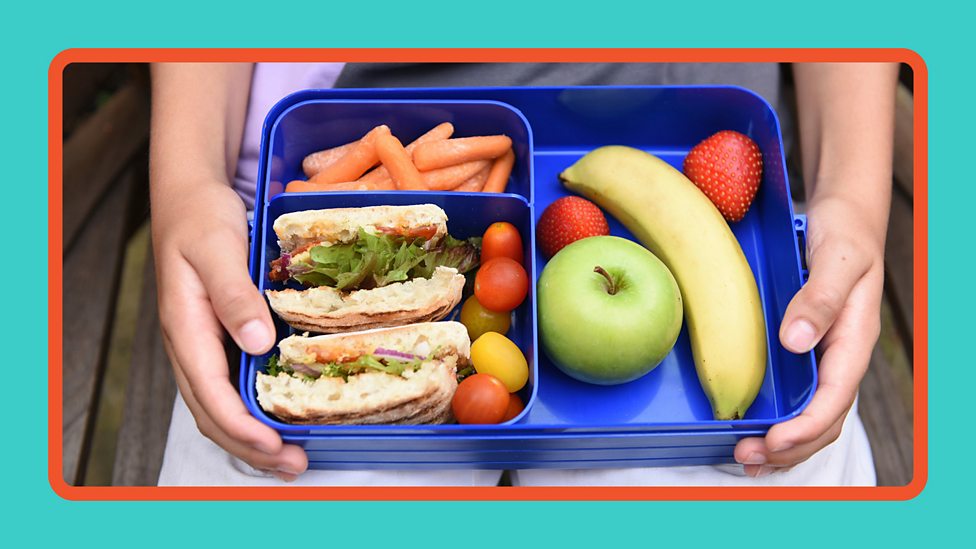 What do humans need to be healthy? – KS1 Science curriculum - BBC Bitesize