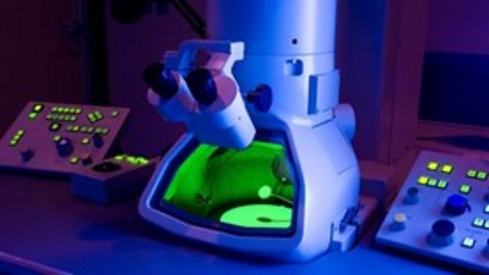 What is microscopy, size and magnification in GCSE Biology? - BBC Bitesize
