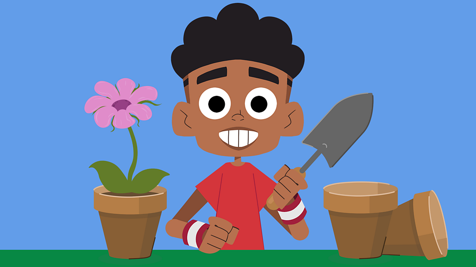 Plants - Year 2 Science - BBC Bitesize