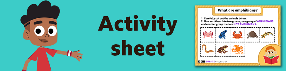 What are amphibians? KS1 Science curriculum - BBC Bitesize