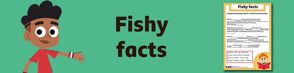 What are fish? KS1 Science curriculum - BBC Bitesize