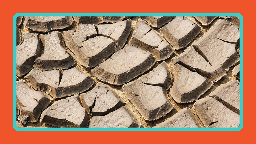 What is soil made from? – KS2 Science curriculum - BBC Bitesize