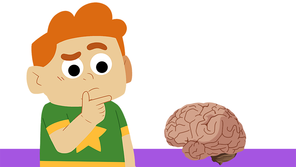 What are the parts of the human body? - KS1 Science curriculum - BBC ...