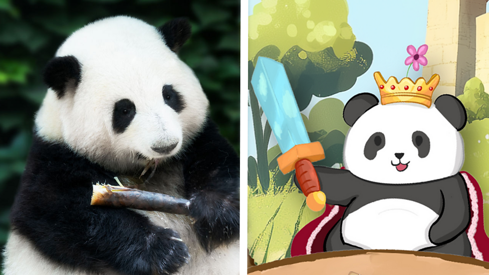 Meet the influencers who became TikTok famous in later life - BBC Bitesize