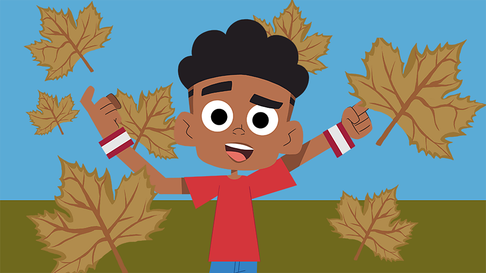 Seasonal changes - KS1 Science - BBC Bitesize