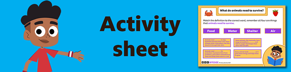 What do animals need to survive? - KS1 Science curriculum - BBC Bitesize