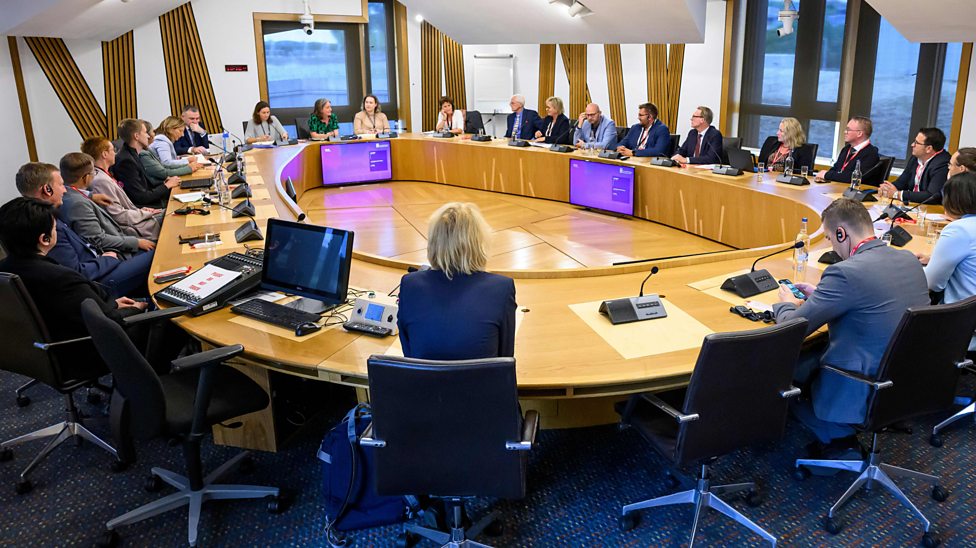 What do committees in the Scottish Parliament do? - BBC Bitesize