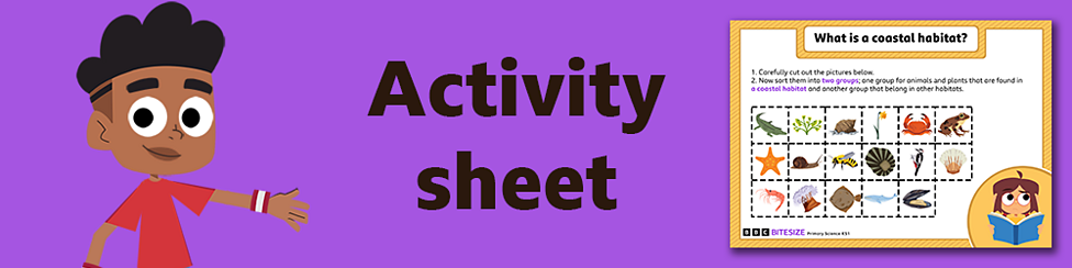 What is a coastal habitat? - KS1 Science curriculum - BBC Bitesize