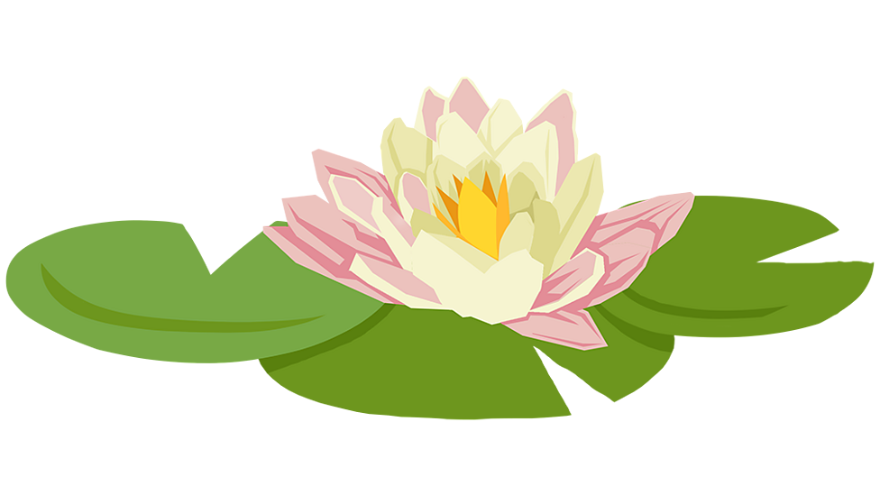 What is a pond habitat? – KS1 Science curriculum - BBC Bitesize