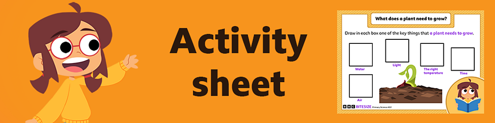 What does a plant need to grow? – KS1 Science curriculum - BBC Bitesize