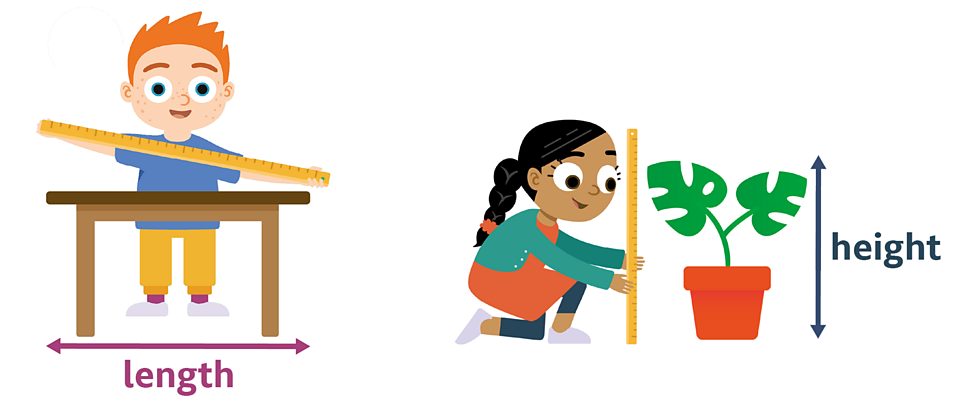 Solving problems involving height and length - KS1 Maths - Year 2 - BBC ...