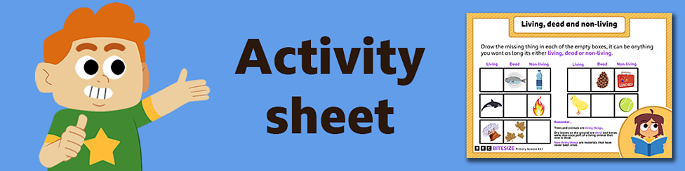 How can I sort objects into dead, living and non-living? - KS1 Science ...