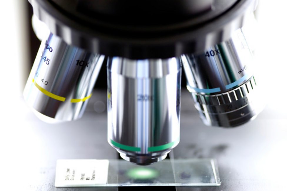 Number - GCSE Maths - BBC Bitesize