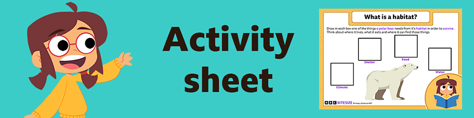 What is a habitat? - KS1 Science curriculum - BBC Bitesize