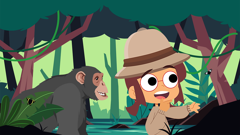 What is a habitat? - KS1 Science curriculum - BBC Bitesize