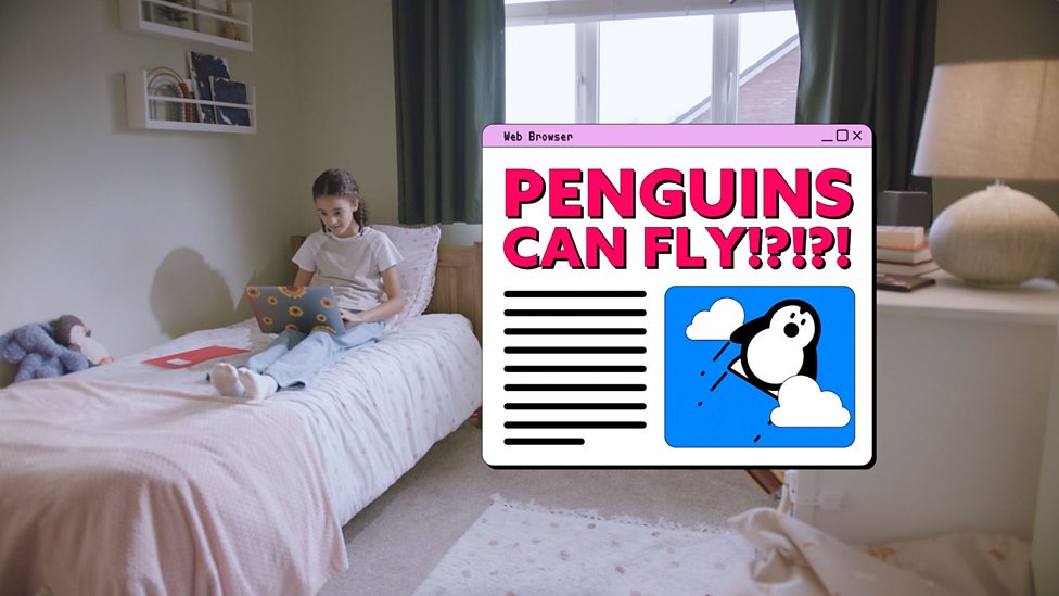 Online reputation – an introduction and overview for KS2 (7-11) - BBC Teach