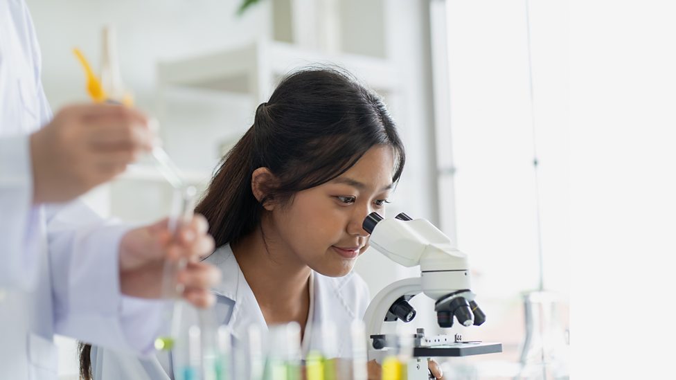 What is Mitosis? Combined Science GCSE interactive: Edexcel - BBC Bitesize