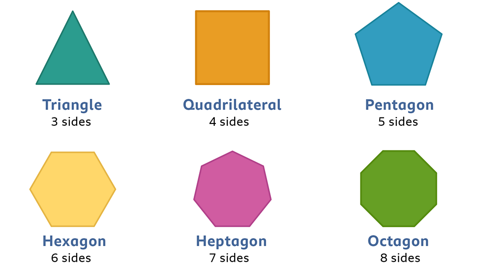 Sort 2D and 3D shapes - KS2 Maths - Year 3 - BBC Bitesize