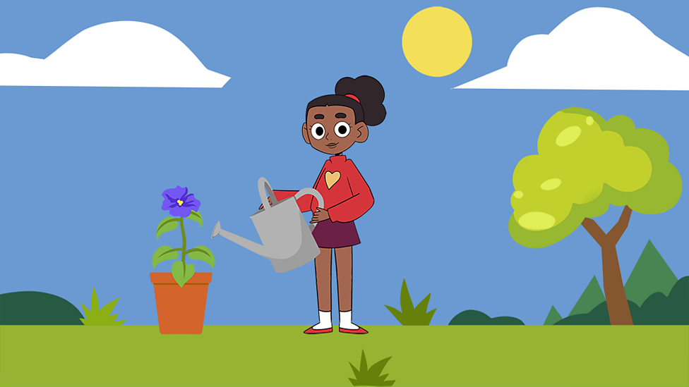 Plants - KS2 Science - BBC Bitesize