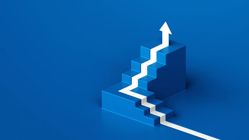Business growth external inorganic - GCSE Business - BBC Bitesize