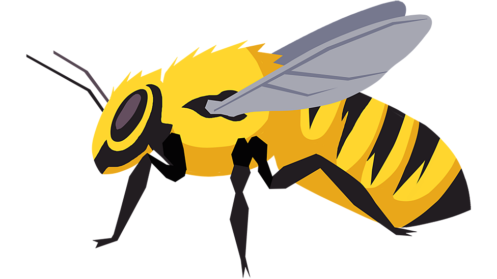 Pollination and seed spreading – KS2 Science curriculum - BBC Bitesize