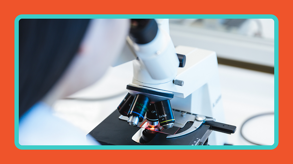 How to use scientific equipment – KS2 Science curriculum - BBC Bitesize