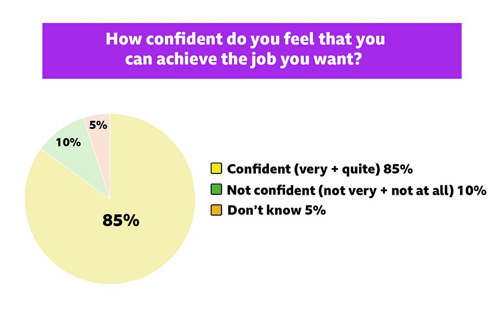 Survey reveal: What are the top 10 jobs teens want? - BBC Bitesize