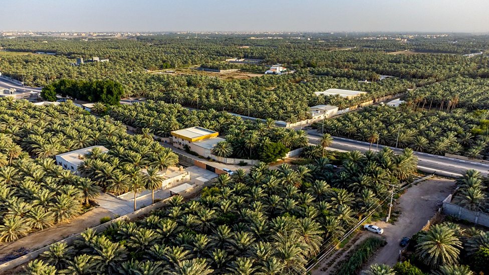 What is an oasis? Five outstanding examples of oases from around the ...