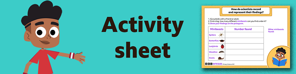 How do you record and represent your findings? – KS1 Science curriculum ...