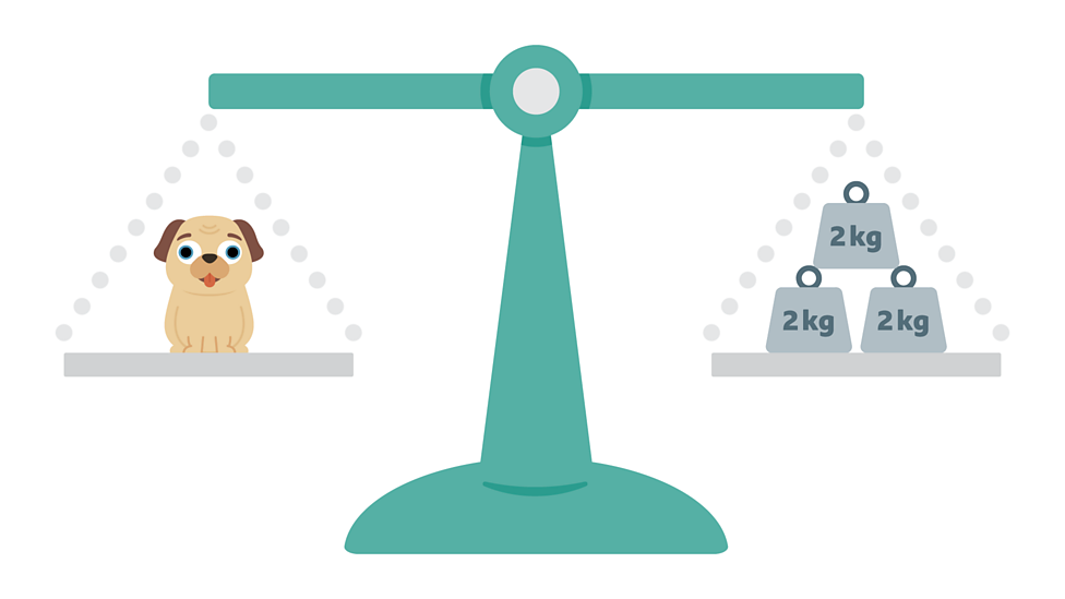 Measuring mass in kilograms - – KS1 Maths resources for Year 2 - BBC ...