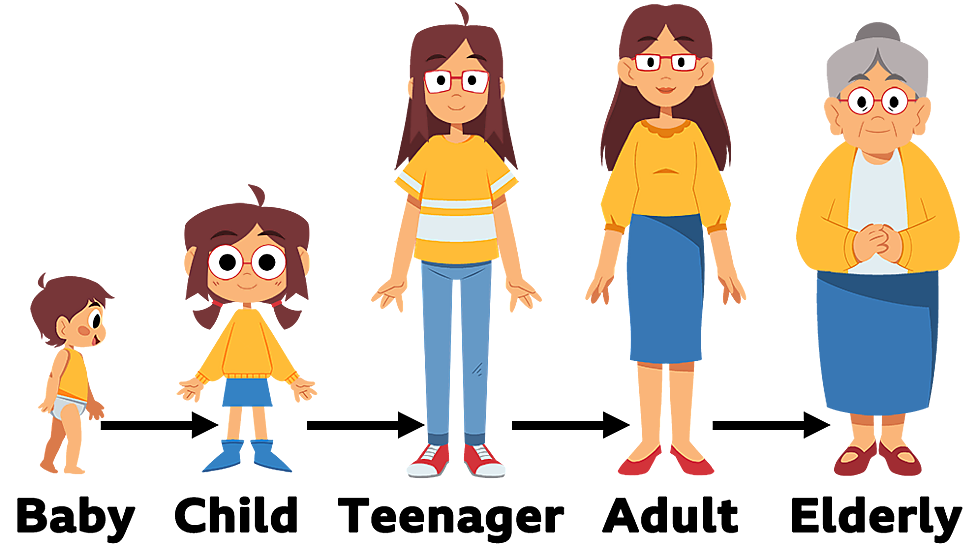 How do animals grow? - KS1 Science curriculum - BBC Bitesize