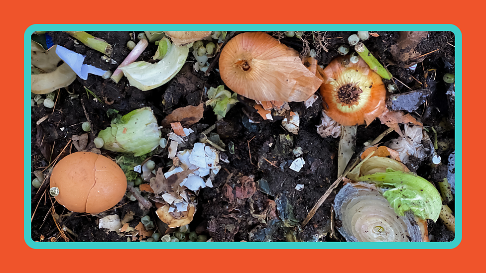 What is waste? – KS2 Science curriculum - BBC Bitesize