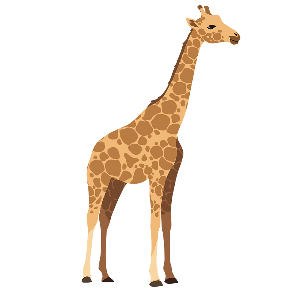 Teeth – KS2 Science curriculum - BBC Bitesize